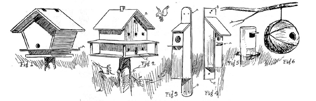 Hands-on 4-H History – The Birds of Spring | 4-H History Preservation News