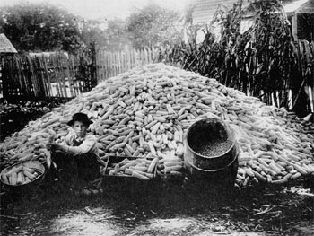 Corn Clubs Spread Through the South | 4-H History Preservation News