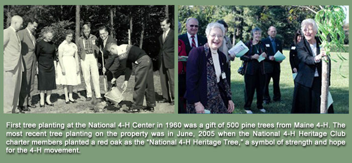 Sue Benedetti | 4-H History Preservation News